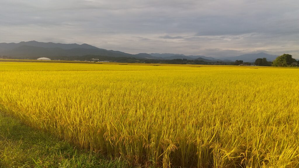 「秋」がくる。 ｜ ALLWELL（オールウェル）｜新築・注文住宅・規格住宅｜福島県